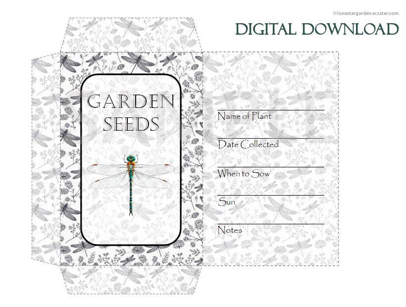 DIY Printable Seed Packet Template Digital Download PDF Dragonfly