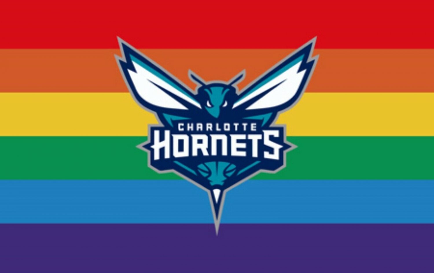 Charlotte Hornets Pride Flag 3x5ft Banner Polyester basketball hornets018