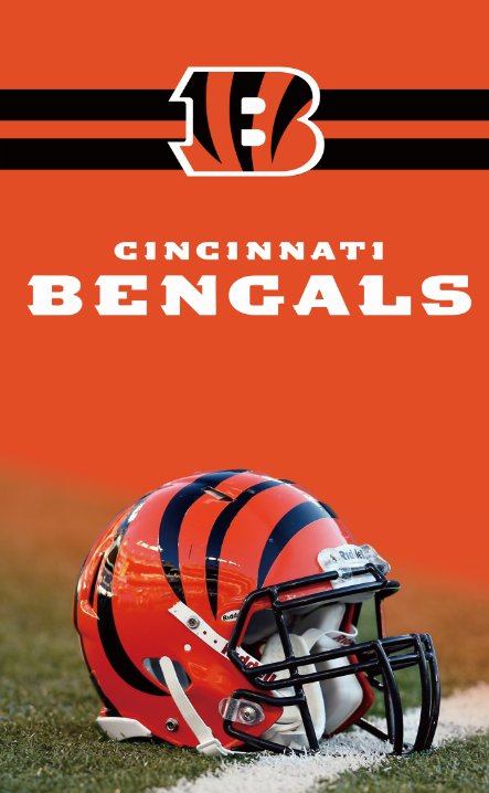 Cincinnati Bengals Flag 3x5ft Banner Polyester American Football bengals024