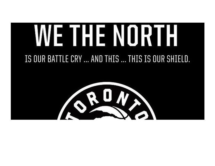 Toronto Raptors Flag 3x5ft Banner Polyester basketball World Champions ...