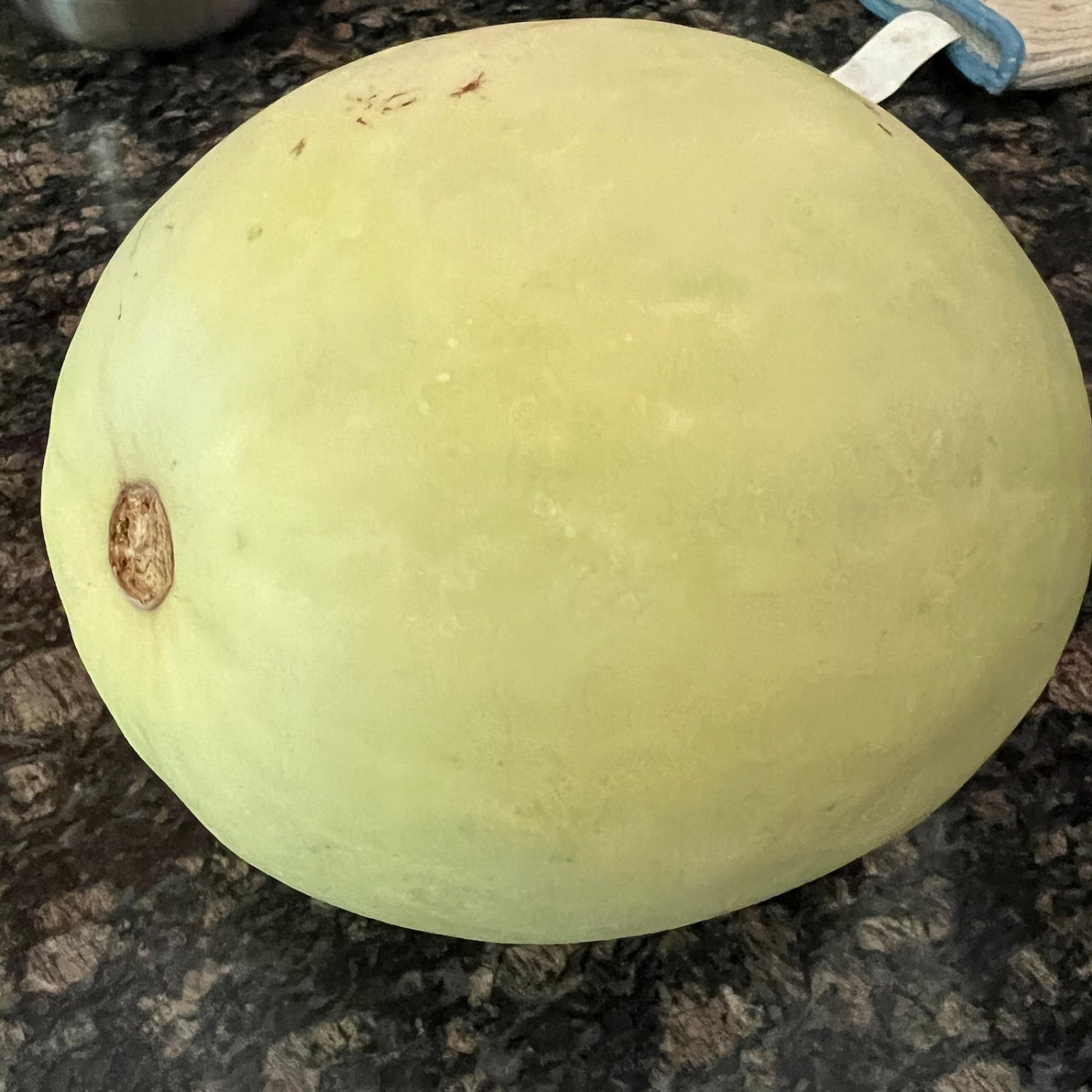20 Desert King Watermelon Seeds