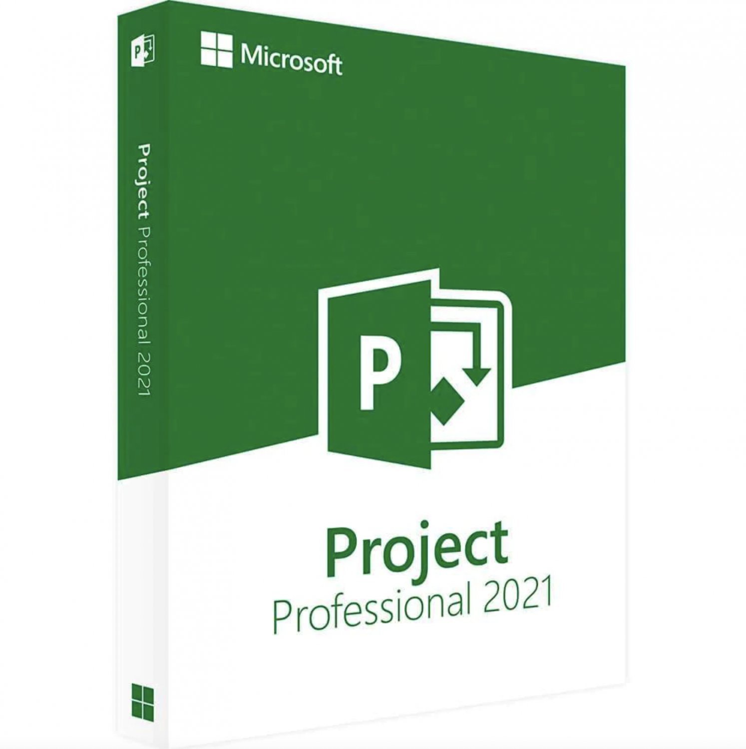 Microsoft project 2021 Professional Lifetime License