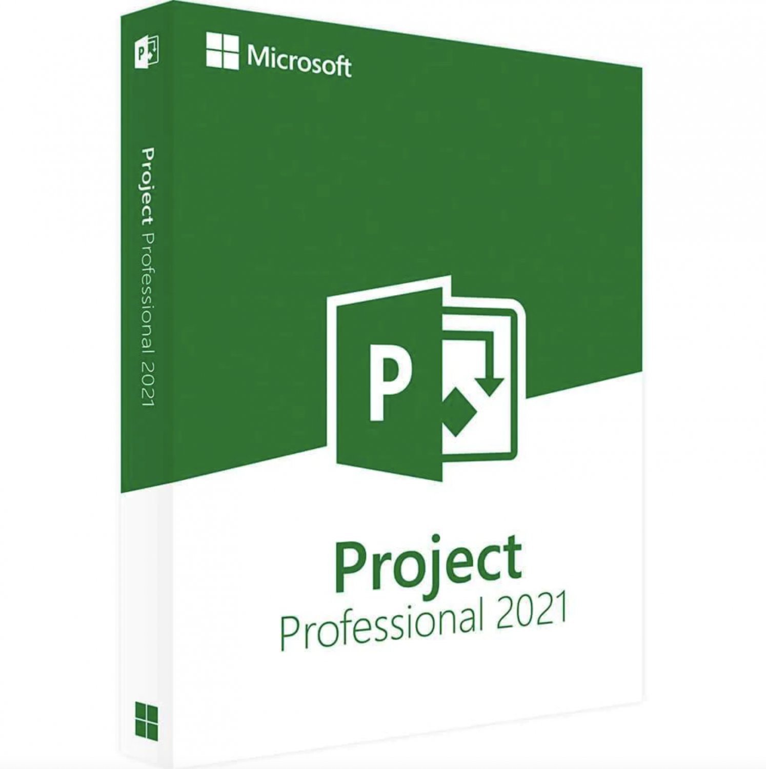 Microsoft project 2021 Professional Lifetime License
