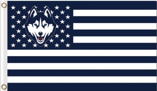 University of Connecticut Huskies Flag 3X5ft Banner USA Polyester with ...