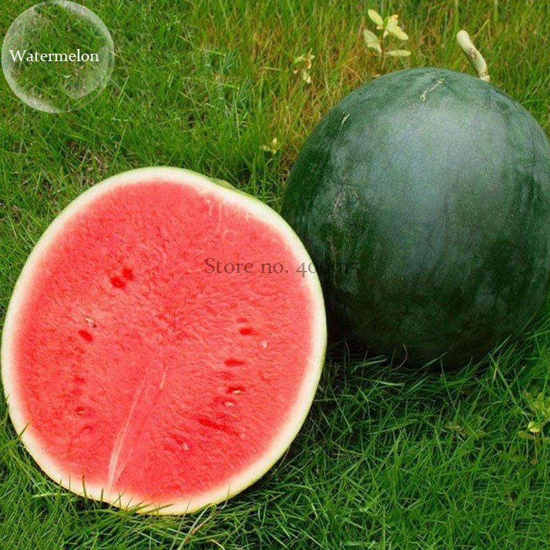 JMS Dark Green Seedless Watermelon Red Inside Fruits, 5 Seeds, Sweet ...