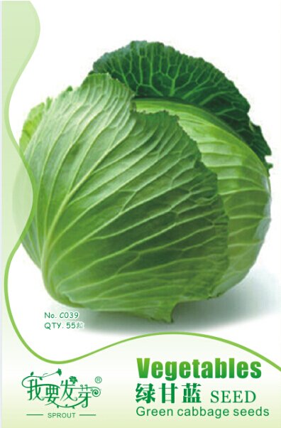 JMS 10 Original Packs, 55 Seeds / Pack, Green Cabbage Seeds