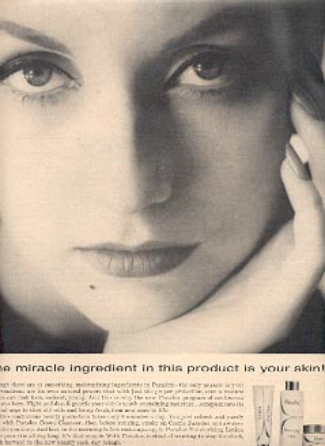 1963 Paradox by Dubarry magazine ad (# 2034)