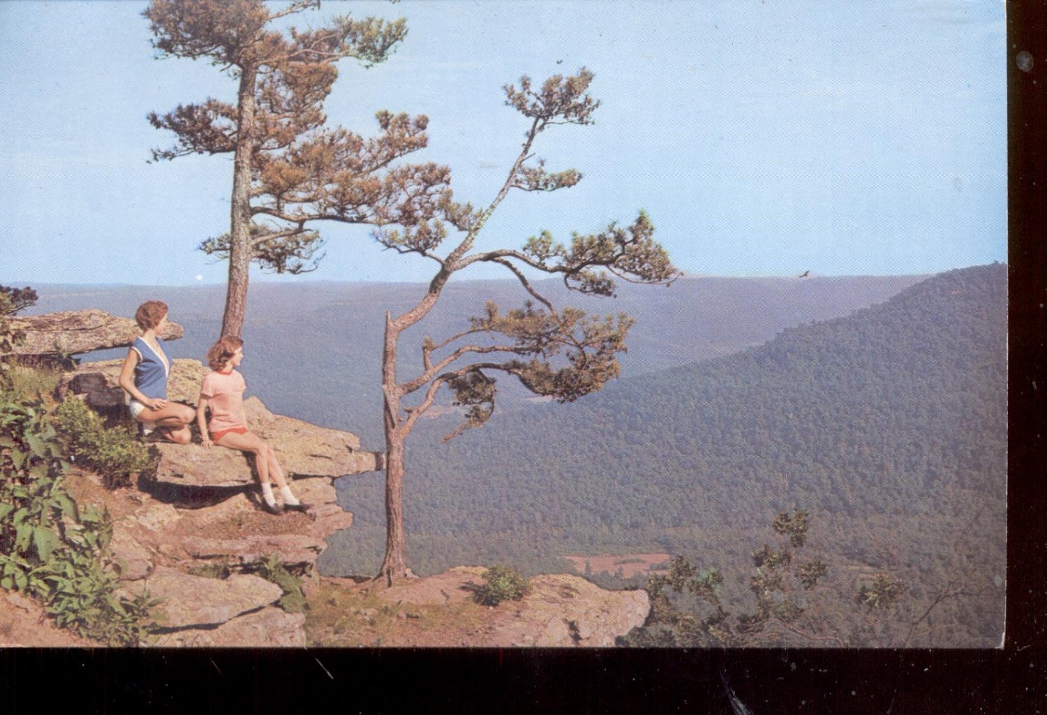 Scenic View of Ozark Mountains Postcard- (# 609)