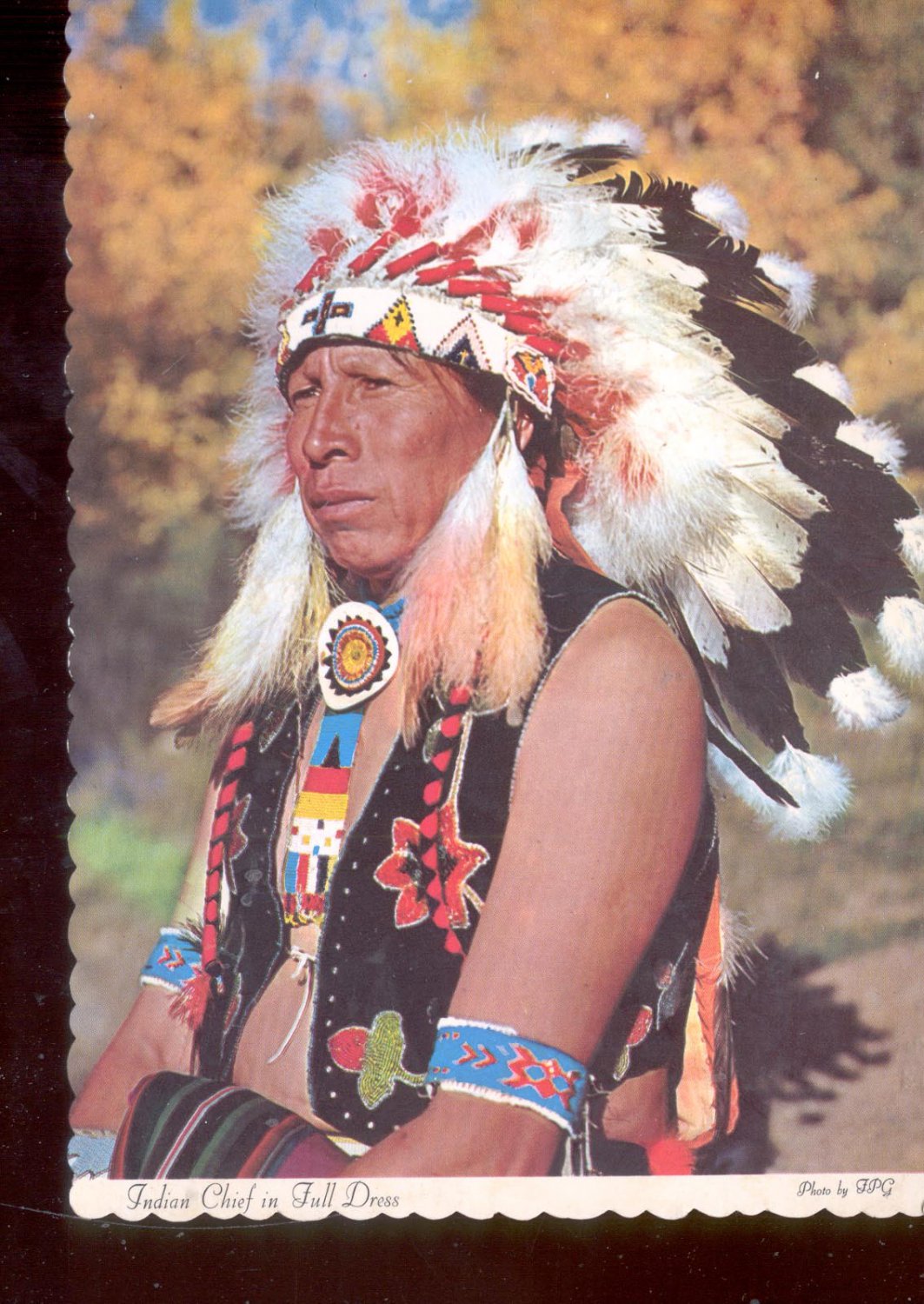 Indian Chief in Full Dress Postcard (# 739)