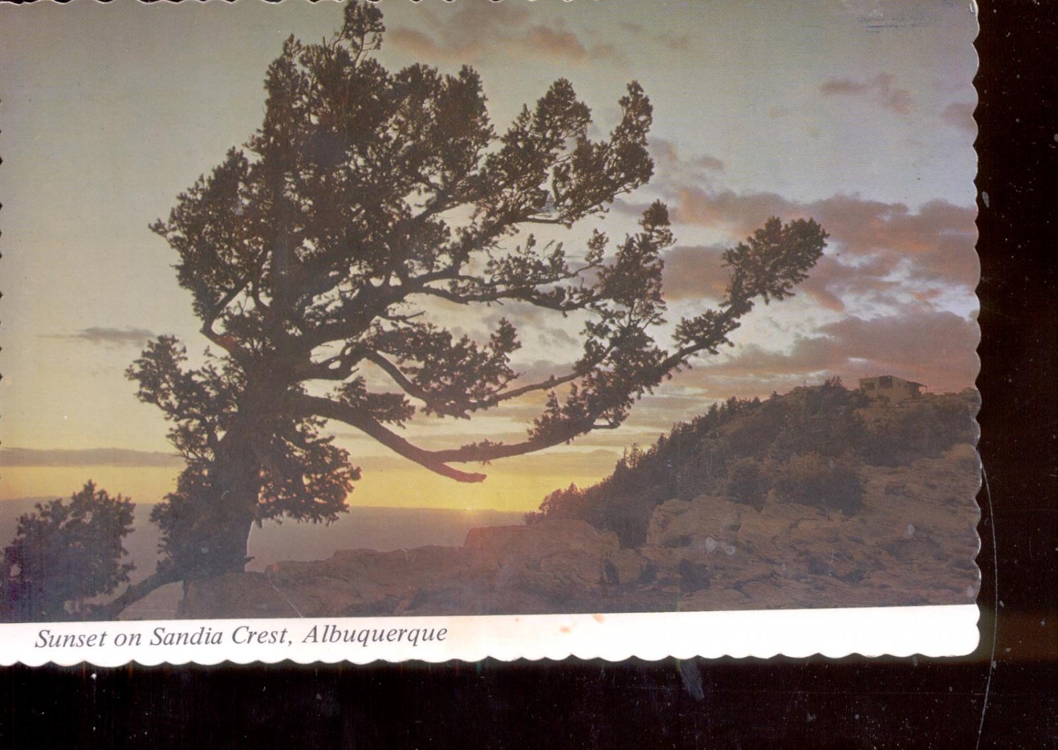 Sunset on Sandia Crest Albuquerque, New Mexico Postcard (# 741)