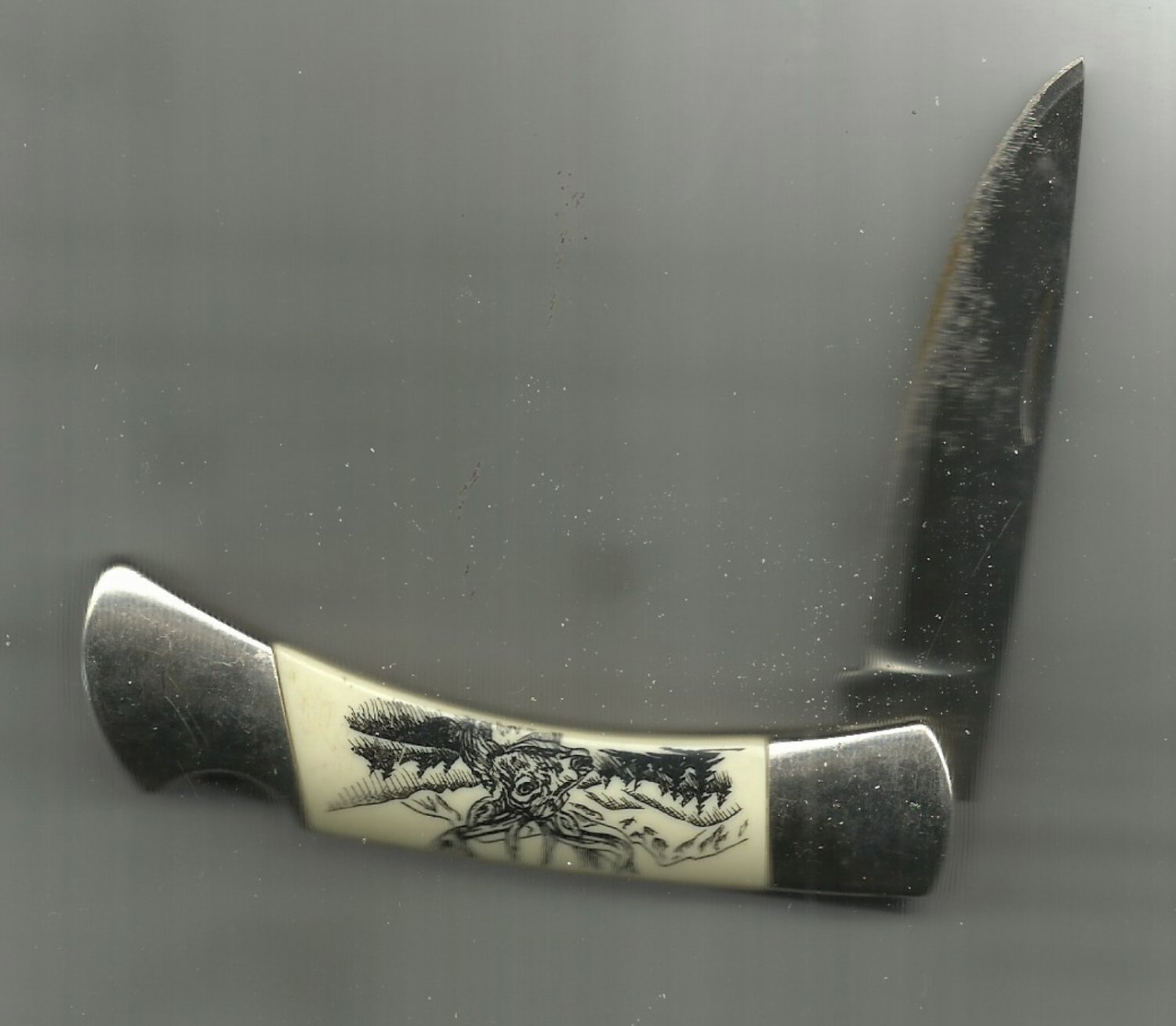 Sabre stainless one bladed knife 4"