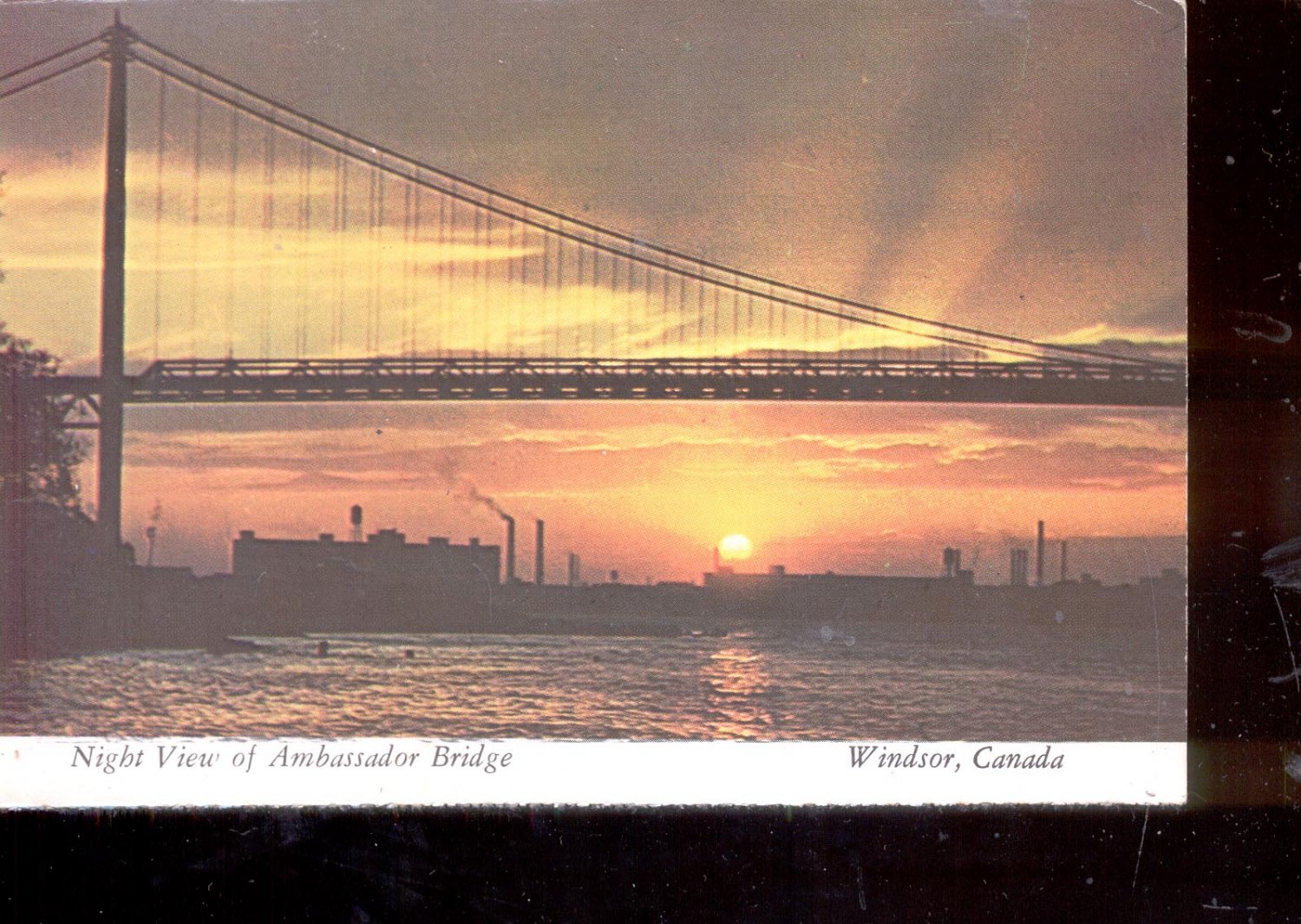 Night View of Ambassador Bridge- Windsor, Canada Postcard ( # 838)