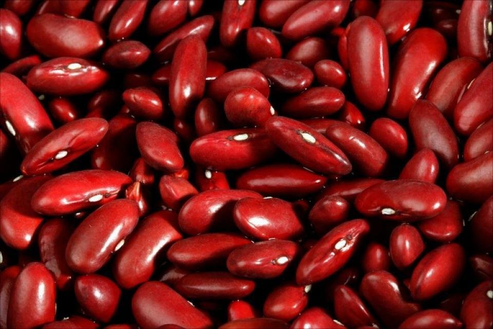 Dark Red Kidney Bean Seeds Fresh 12 Seed