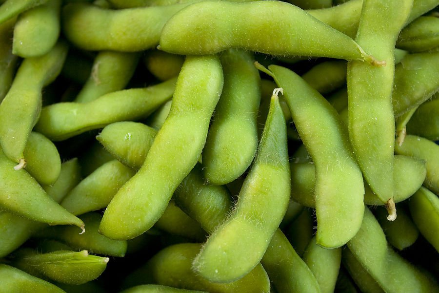 Be-Sweet 292 Edible Soybean 50 Seeds Fresh