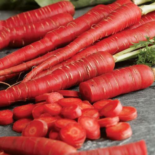 CARROT Ruby Queen Vegetable Seeds - Vegetable Home Garden - 100 Seeds