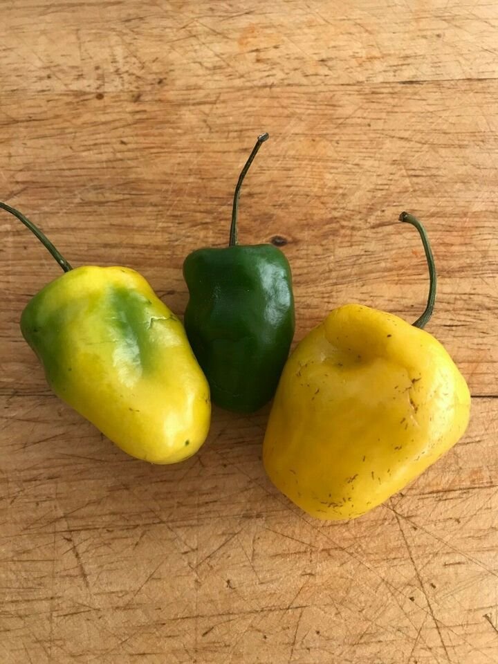 Manzana Peru Mexican Chili Pepper Vegetable Seeds - Vegetable Home ...