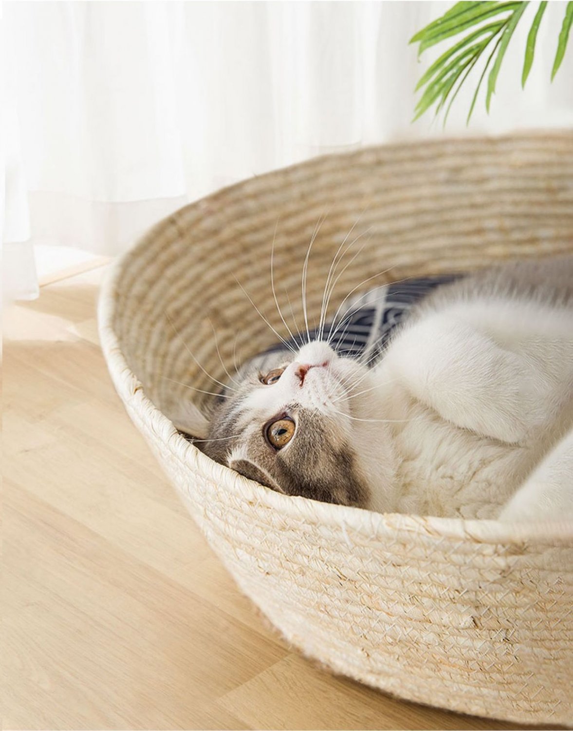 New Simple Japanese Style Woven Cat Nest Bed High Quality Rattan (Natural)