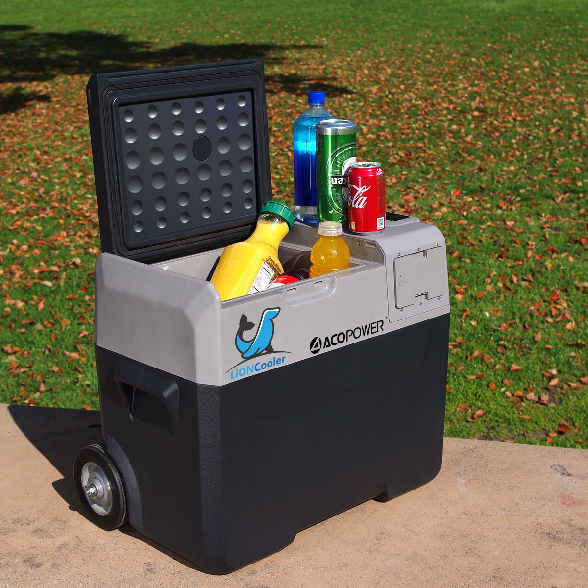 LionCooler X40A Portable Solar Fridge Freezer, 42 Quarts (New Model)