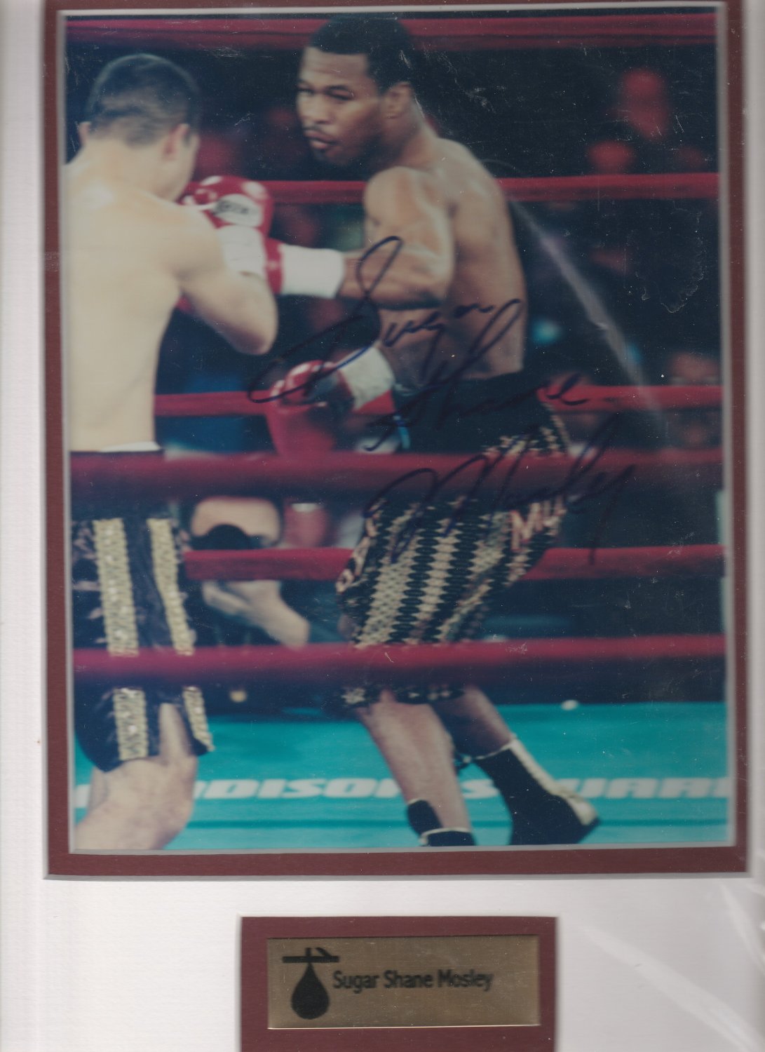 Shane Mosley 8x10 autograph