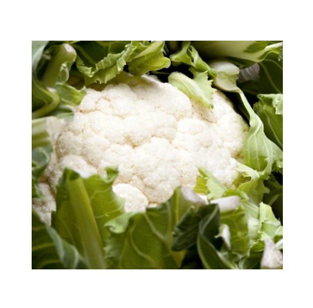 HOT Cauliflower Igloo Early Variety Vegetable Garden 200+ ENG Seeds