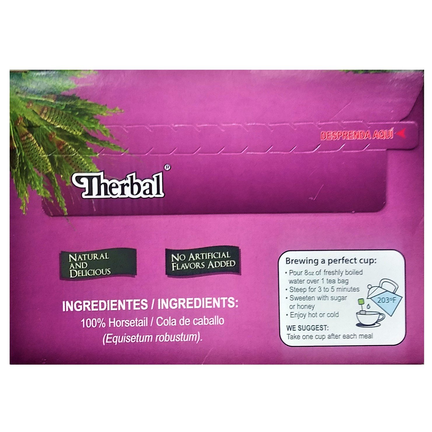 Therbal Horsetail Tea Bags Herbal Infusion (25 Tea Bags Box) 2 Boxes