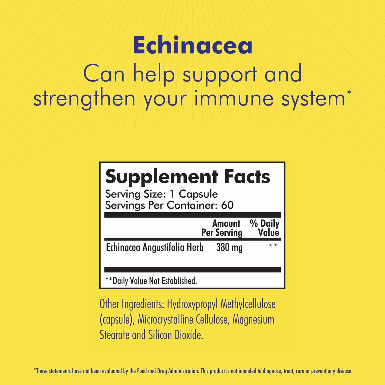 Santo Remedio Healthy Cholesterol Red Yeast Rice Dietary Supplement 600 ...