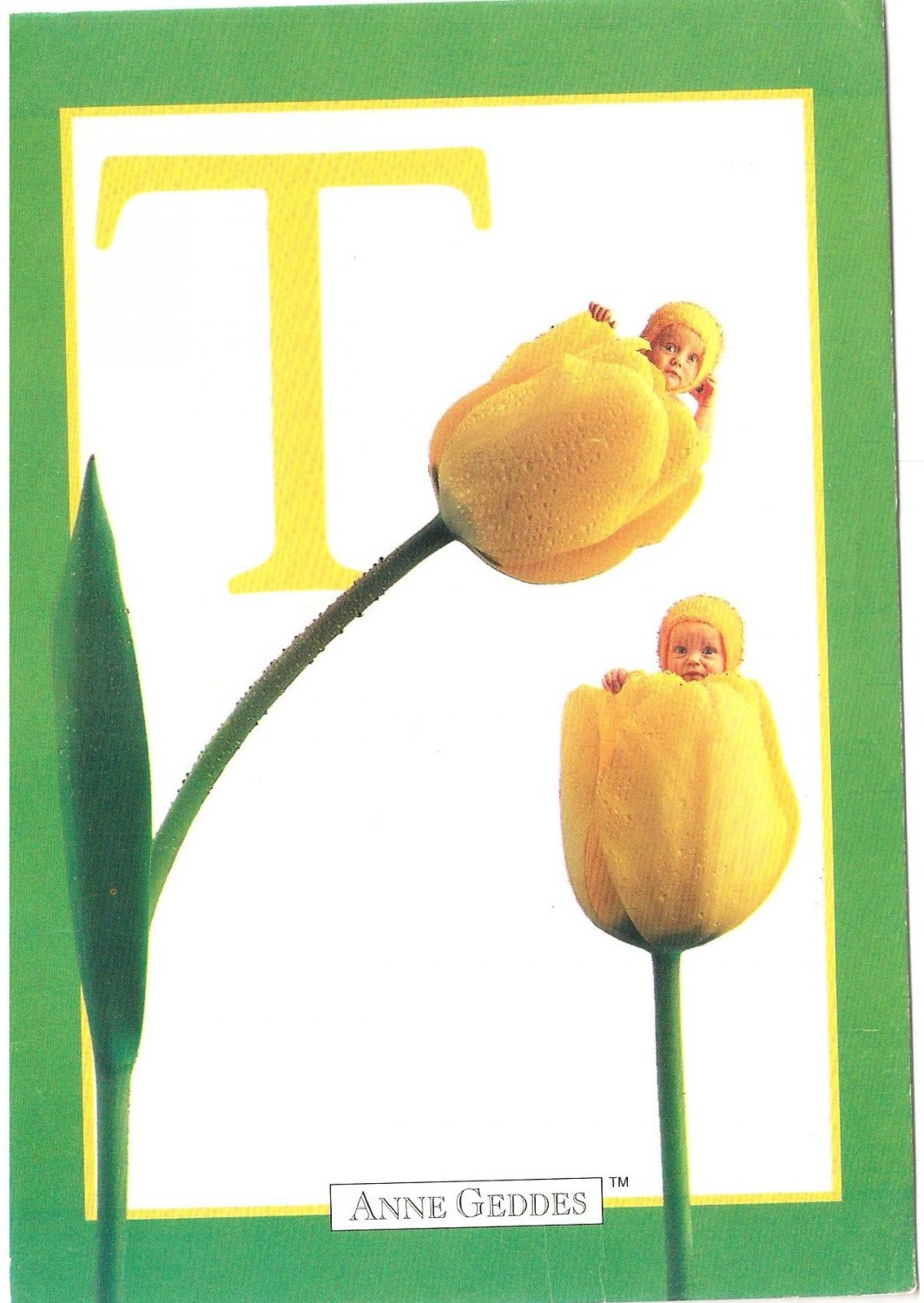 Anne Geddes Postcard 1995 605-073 T is for Tulip Baby 4x6