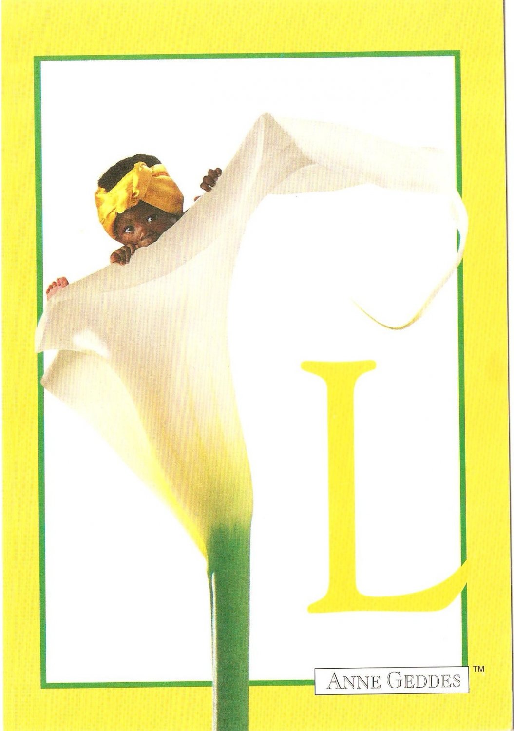 Anne Geddes Postcard 1995 605-065 L is for Lily Baby 4x6