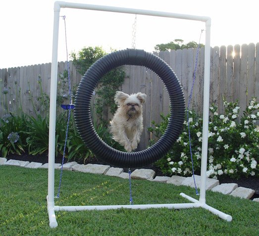 Tire Jump for Dog Agility