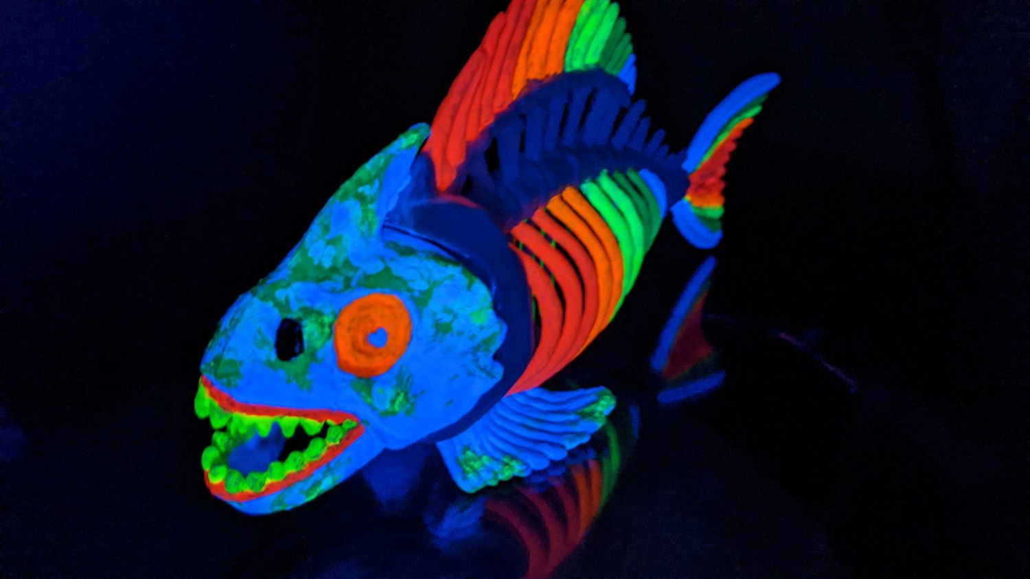 Rainbow Fish - Blacklight Skeleton, hand painted neon