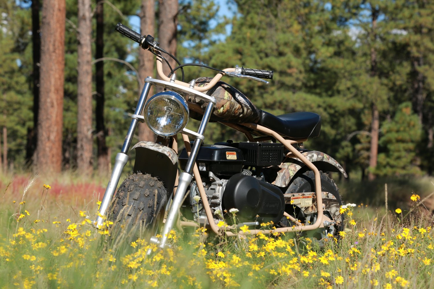 Coleman Powersports 200cc Gas Powered Camo Ride-On Mini Bike