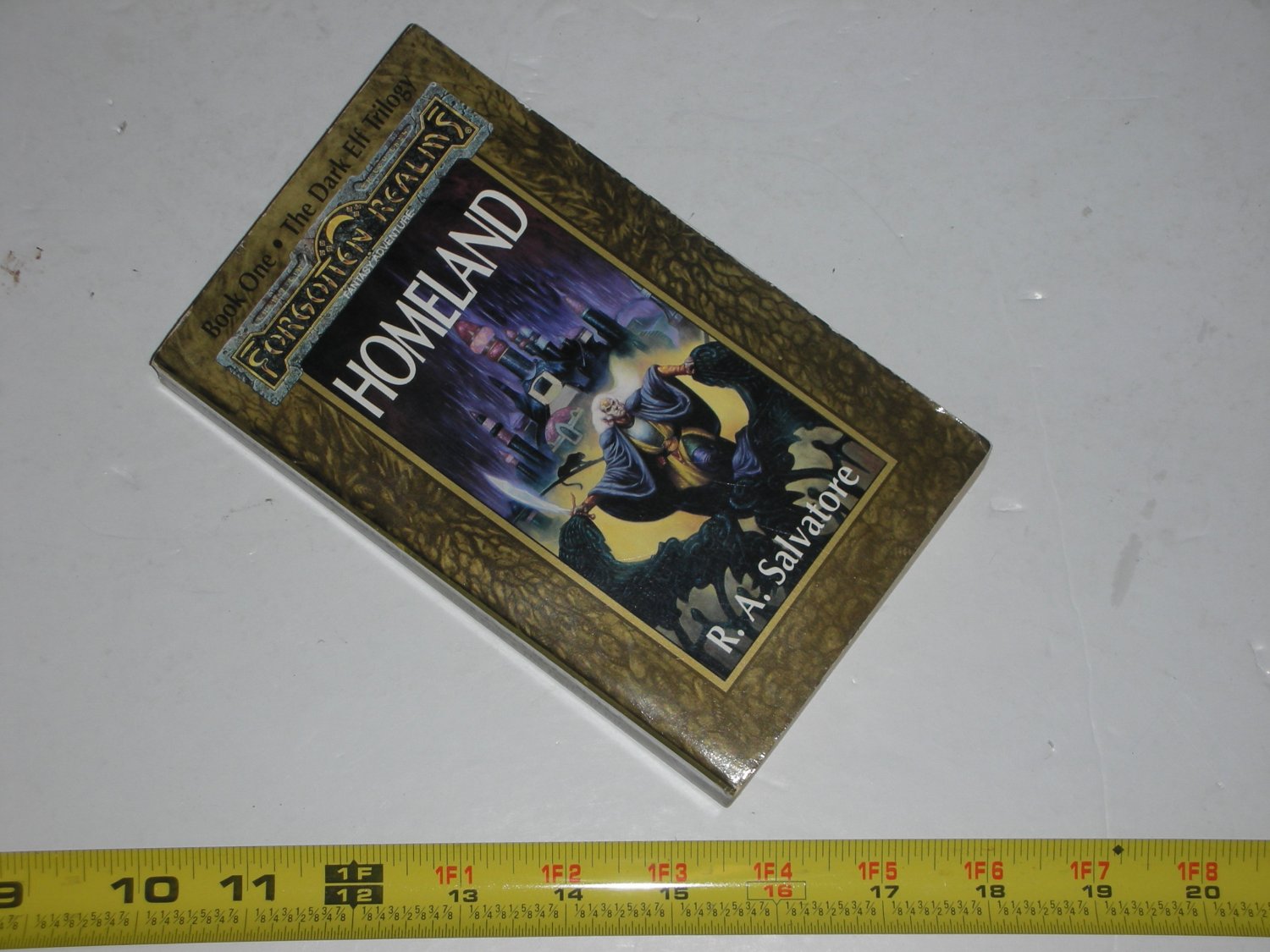 Homeland Forgotten Realms The Dark Elf Trilogy Book 1 Paperback R.A ...