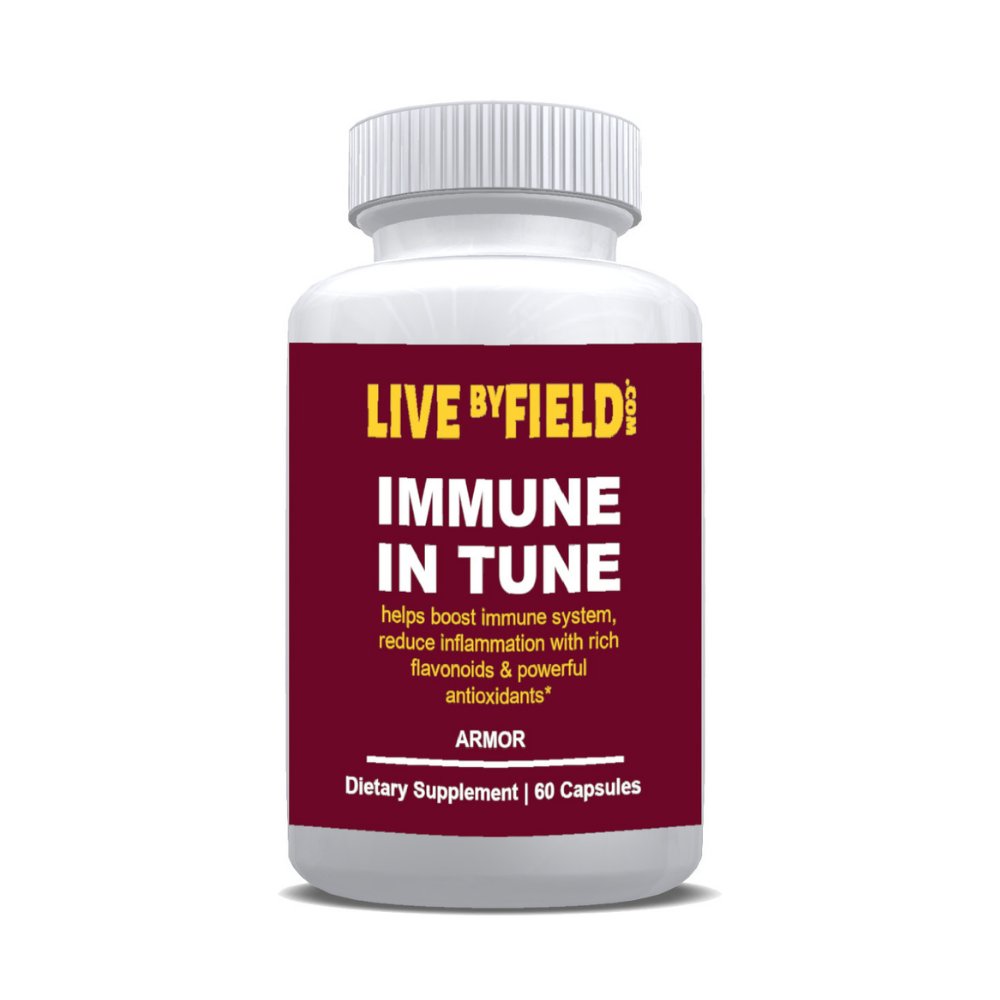 10 Immune Boosters Vitamin C Elderberry Zinc Garlic Echinacea Turmeric