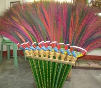 Thysanolaena Maxima 100+ Seeds, Tiger Broom Grass, Nepali