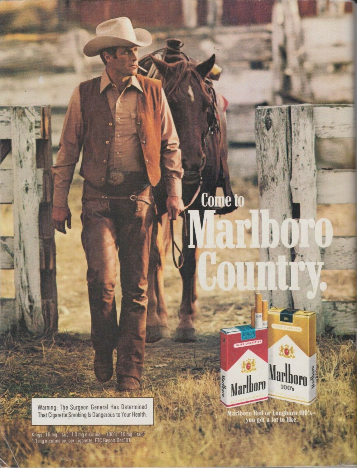 PLAYBOY SEPTEMBER 1982-A – CONNIE BRIGHTON – FRAN JEFFERIES – CHEECH ...