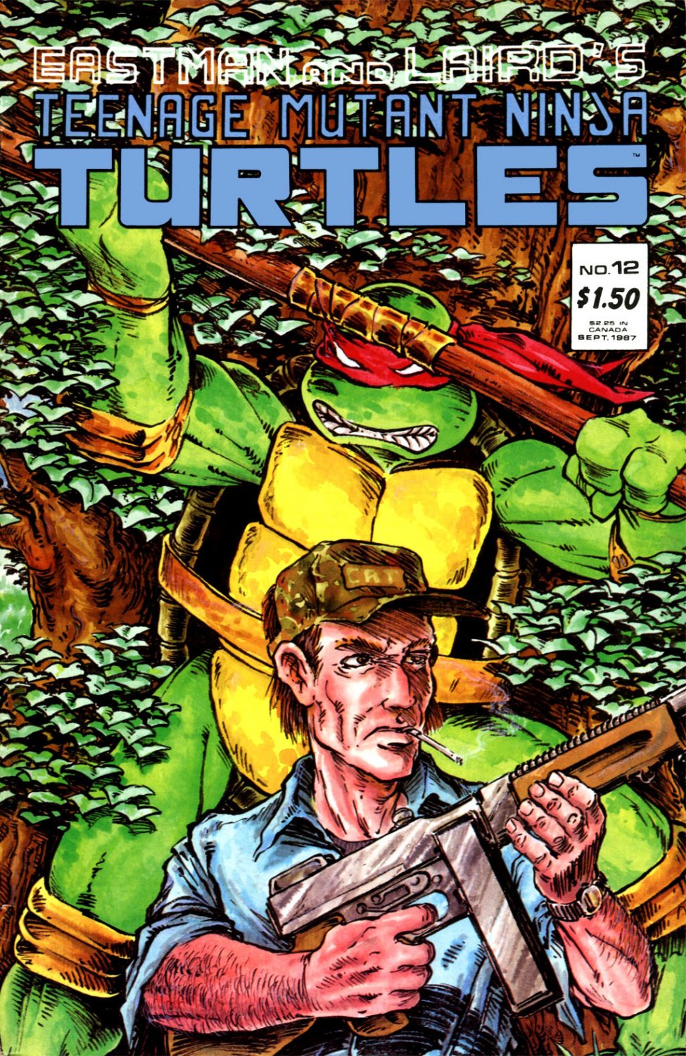 Teenage Mutant Ninja Turtles V1 #012 - Digital eBook Download (.cbr/.cbz)