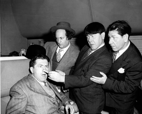 The Three Stooges Photo 12 Curly, Larry, Moe, Shemp!