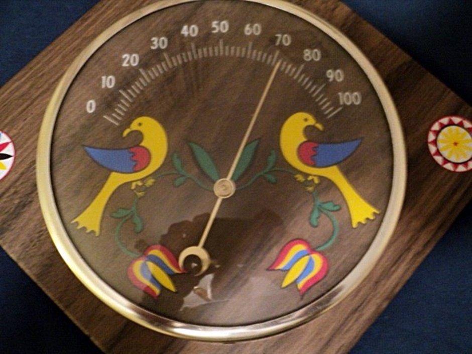 Vintage Black Walnut The Dutchman Wall Hanging Bird Thermometer #193