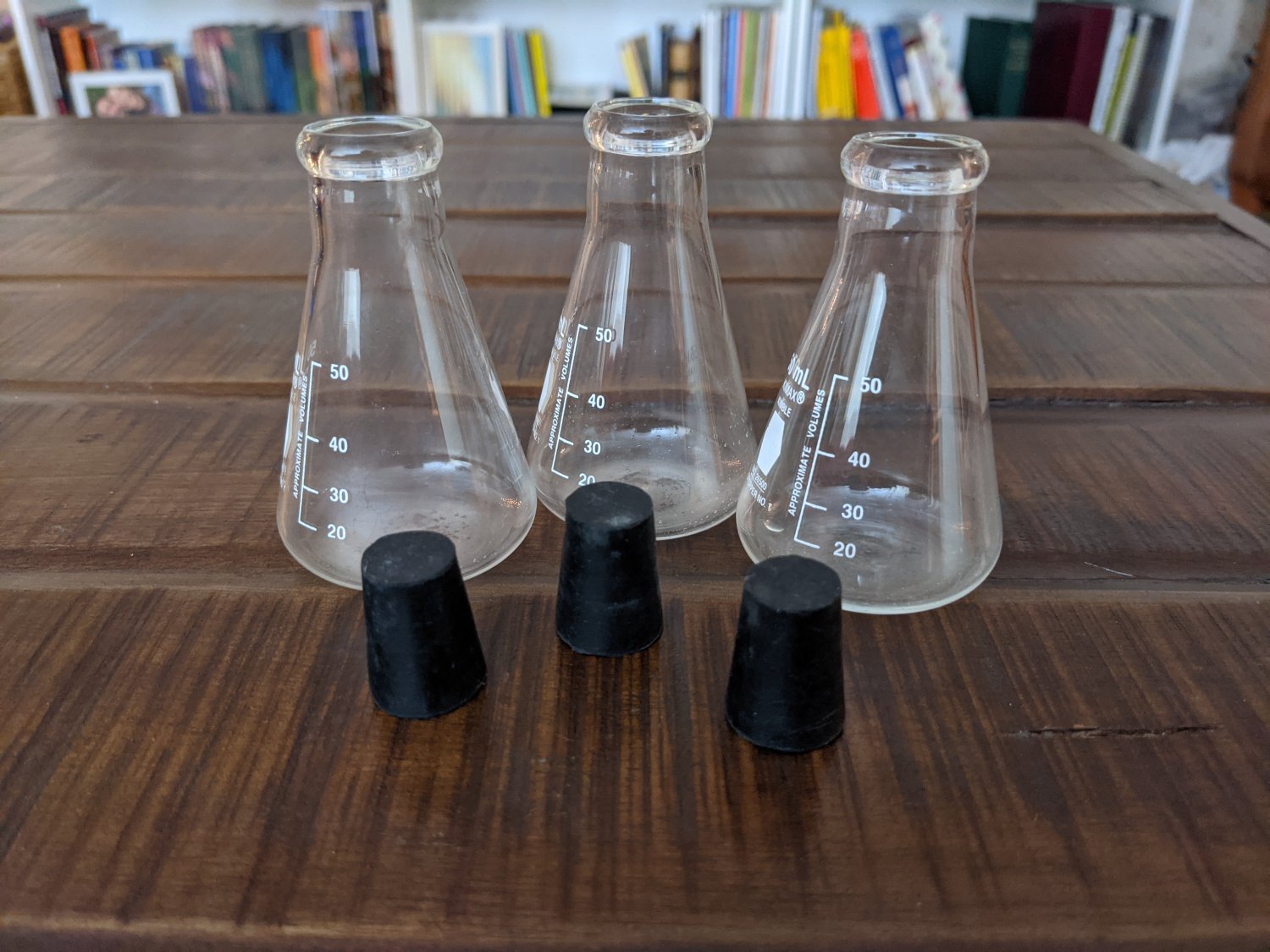 50mL Erlenmeyer Flasks | Glassware for decoration/storage/etc.