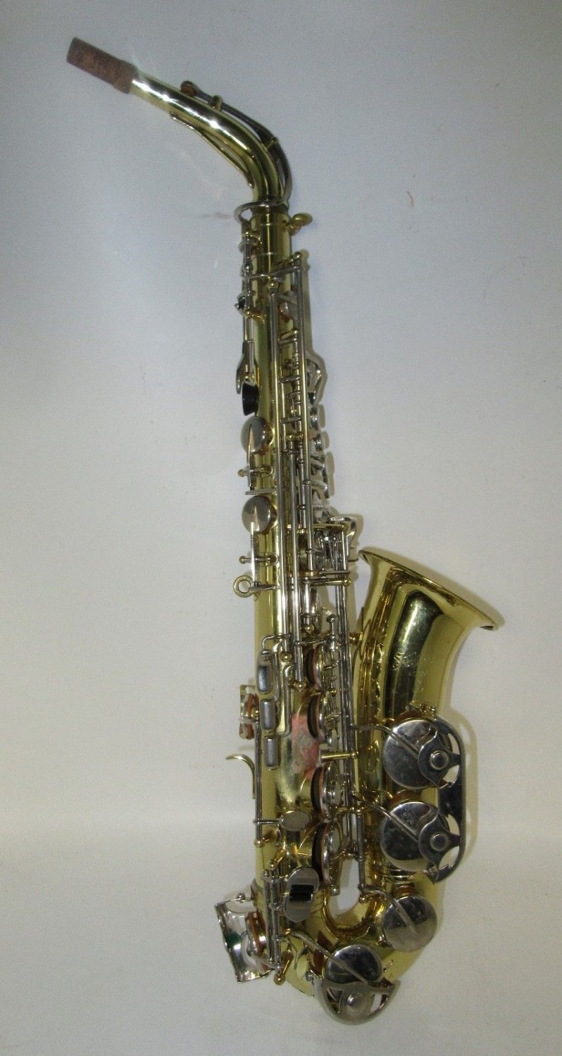 Selmer AS300 Alto Saxophone Case Reeds Recorder Maintenance Kit Strap