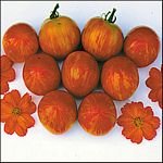 Tiger Tom tomato seeds, bi-color