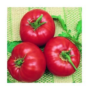 Whopper tomato seeds