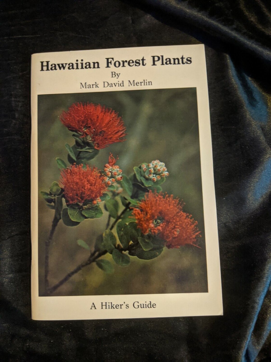 Hawaiian Coastal Plants by Mark Merlin