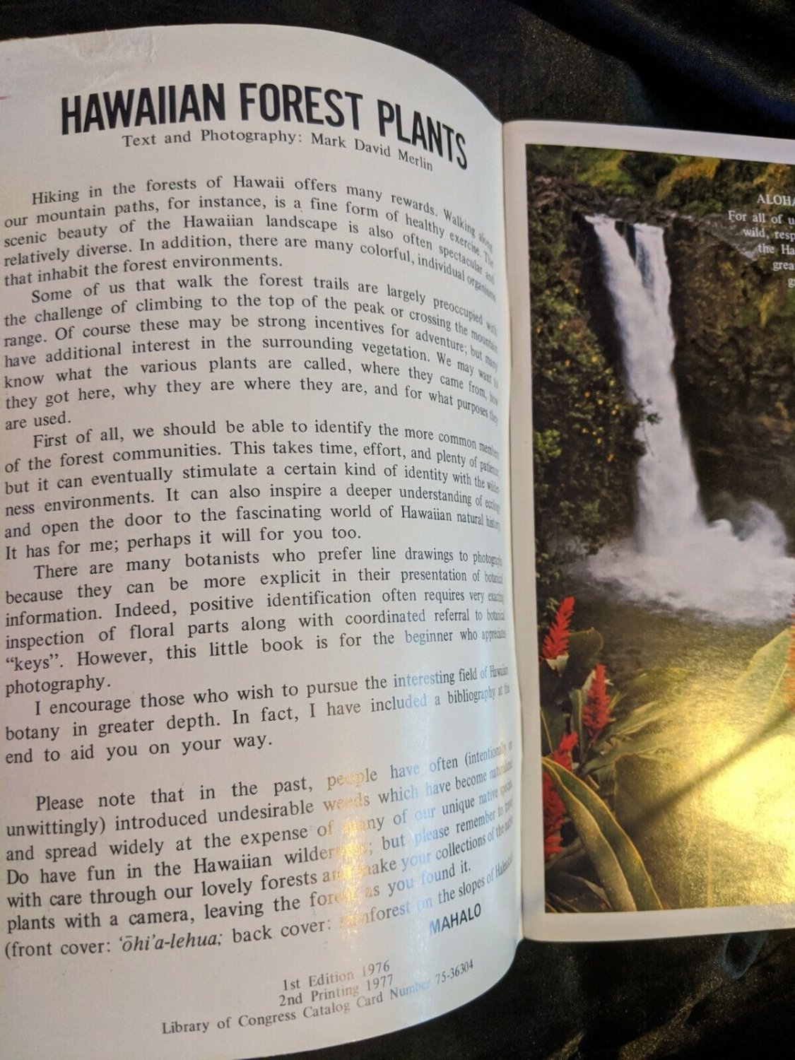 Hawaiian Coastal Plants by Mark Merlin