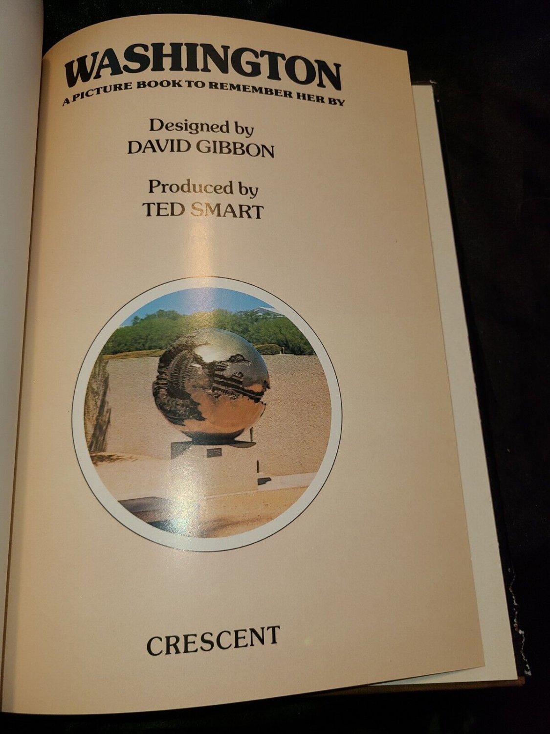 Wasington a Picture Book To Remember Her By