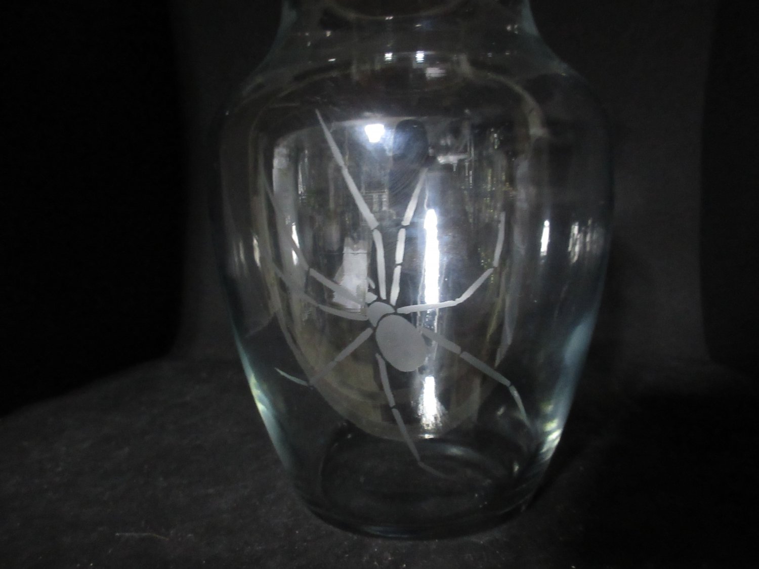 NEW ETCHED SPIDER GLASS FLOWER VASE