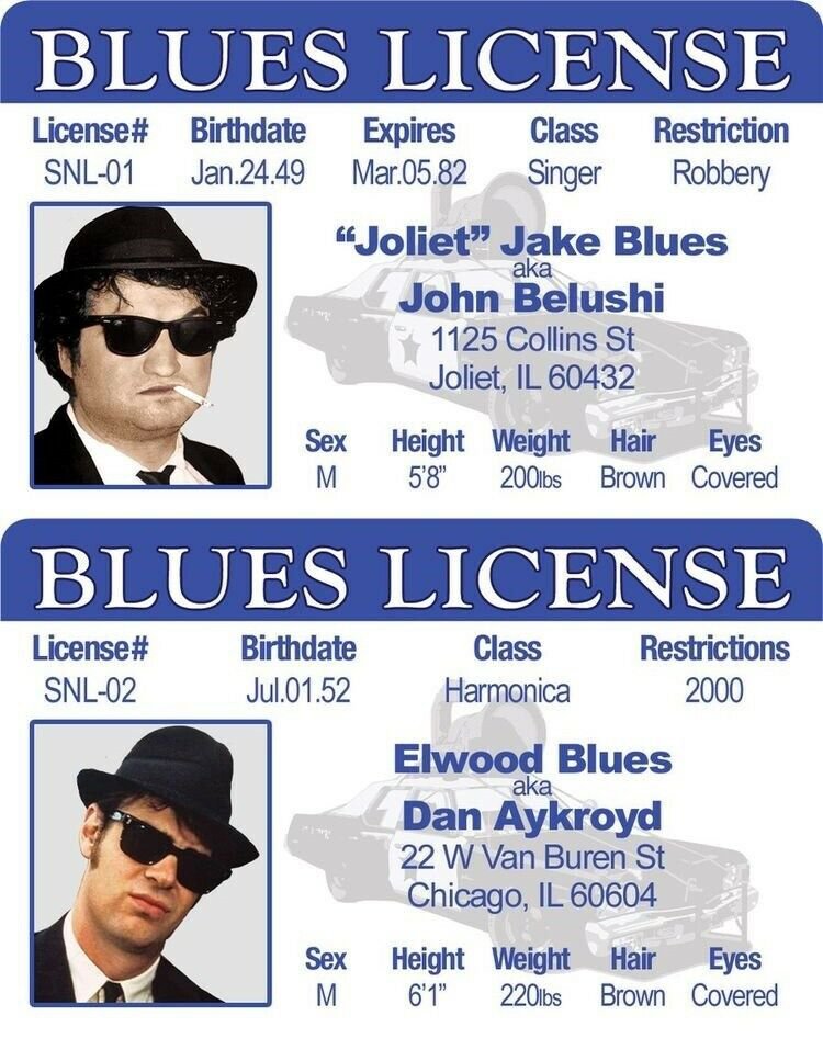 Jake & Elwood Blues 2 IDs from Blues Brothers Movie Fake Joke Drivers ...