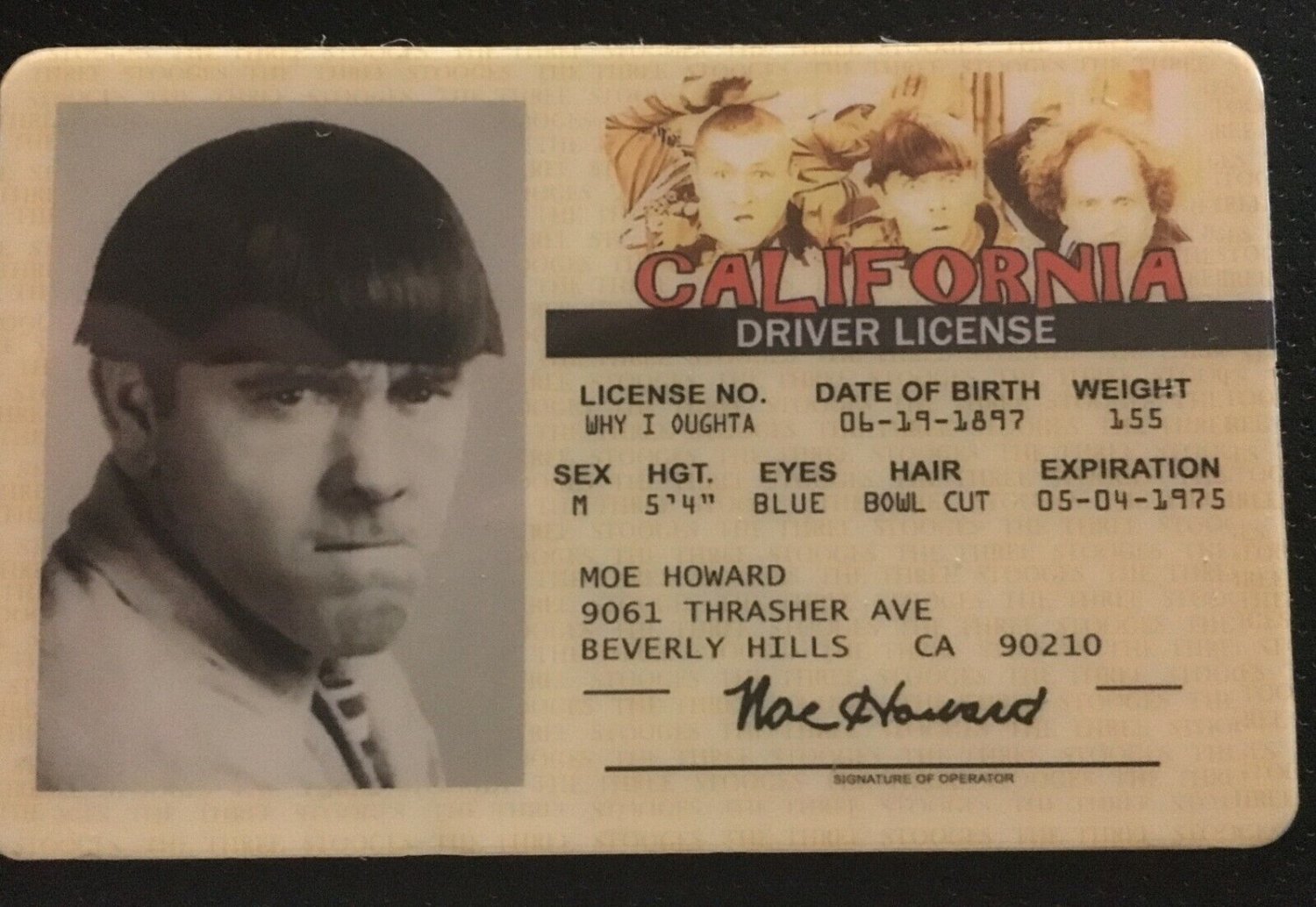 Moe Howard The Three Stooges novelty collectors card curly larry shemp