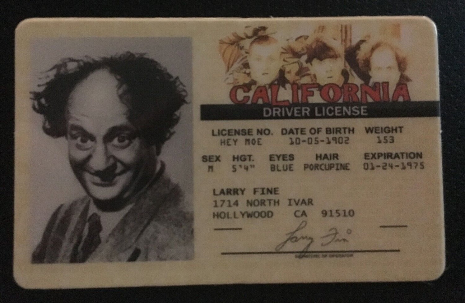 Larry Fine MAGNET The Three Stooges novelty card Hey Moe Curly Shemp