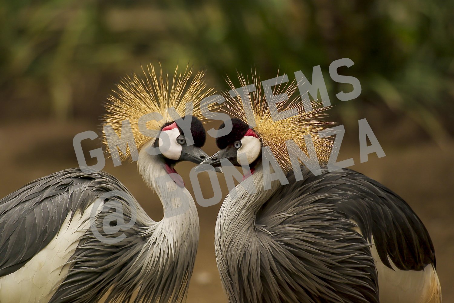 High Quality Print Images 5120x3542px (HIGH RES)